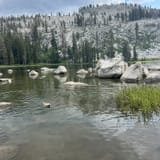 Weaver Lake Trail, California - 885 Reviews, Map | AllTrails