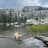 Weaver Lake Trail, California - 885 Reviews, Map | AllTrails
