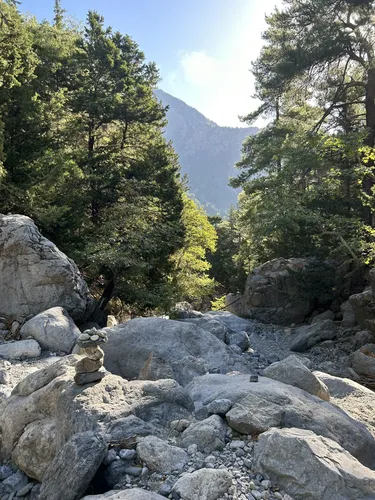 2023 Best Forest Trails in Lakki | AllTrails