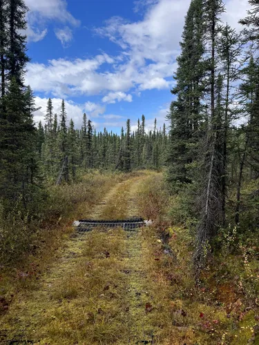 Best Hikes and Trails in Nancy Lake State Recreation Area | AllTrails