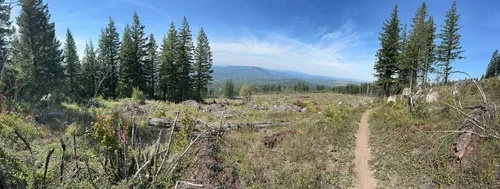 Best Waterfall Trails in Yacolt Burn State Forest | AllTrails