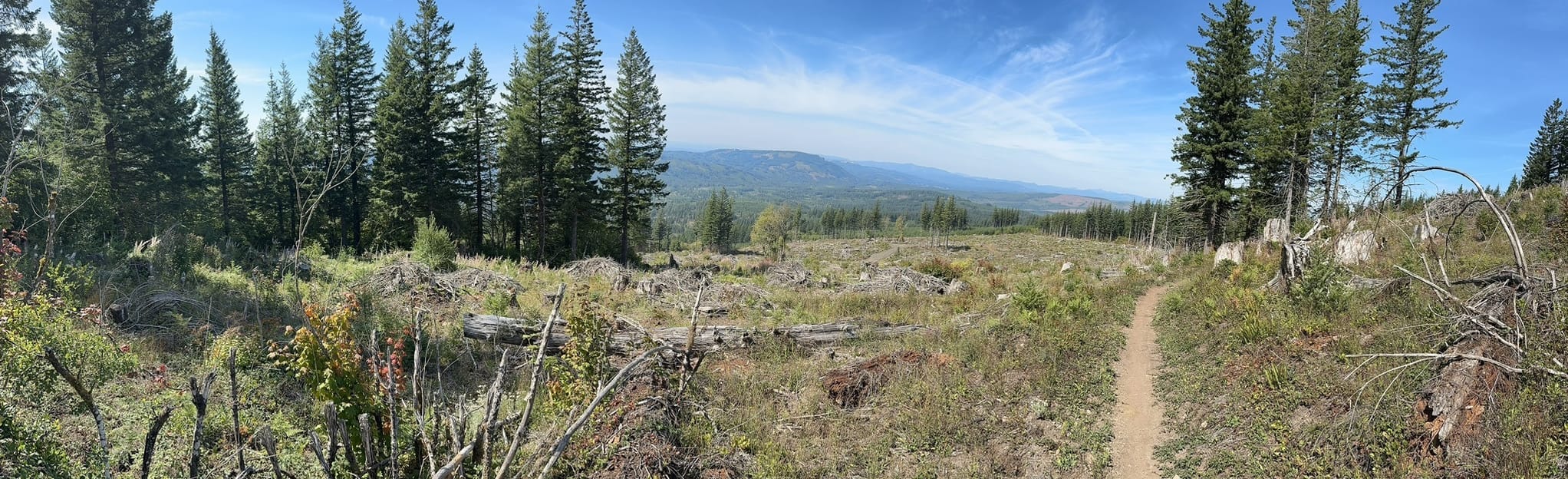 Tarbell Loop, Washington - 30 Reviews, Map | AllTrails