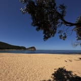 Bouddi Coastal Walk: Little Beach to Putty Beach, New South Wales ...