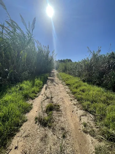 Best Hikes and Trails in Poleg Nature Reserve | AllTrails