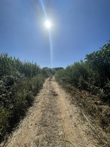 Best Hikes and Trails in Poleg Nature Reserve | AllTrails