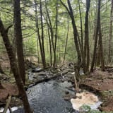 Catamount Hill Trail and One Mile Trail Loop, New Hampshire - 620 ...