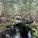 Catamount Hill Trail and One Mile Trail Loop, New Hampshire - 620 ...