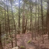 Catamount Hill Trail and One Mile Trail Loop, New Hampshire - 620 ...