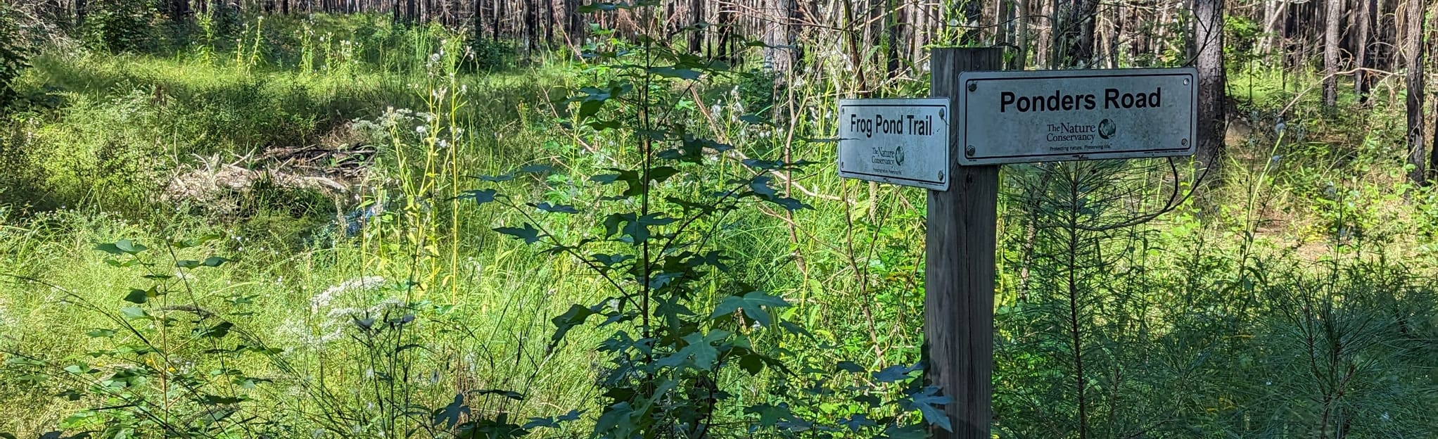 Ingram Branch Way: 0 Reviews, Map - Delaware | AllTrails