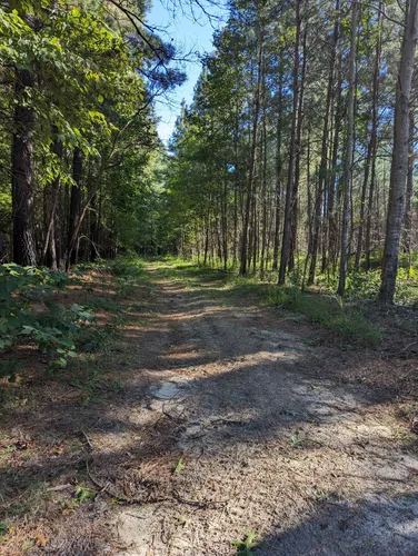Best Hikes and Trails in Pemberton Forest Preserve Ponders Tract ...