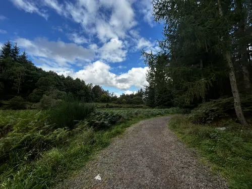 10 Best Trails and Hikes in Aberdeen | AllTrails