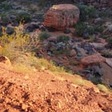 Johnson Canyon Trail, Utah - 847 Reviews, Map | AllTrails