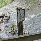 Indian Ladder Trail, New York - 745 Reviews, Map | AllTrails