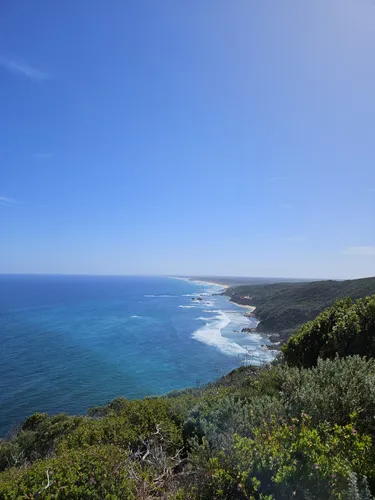 2023 Best 10 Bird Watching Trails in Mornington Peninsula National Park ...