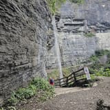 Indian Ladder Trail, New York - 795 Reviews, Map | AllTrails