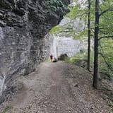 Indian Ladder Trail, New York - 795 Reviews, Map | AllTrails