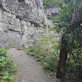 Indian Ladder Trail, New York - 795 Reviews, Map | AllTrails
