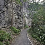 Indian Ladder Trail, New York - 795 Reviews, Map | AllTrails