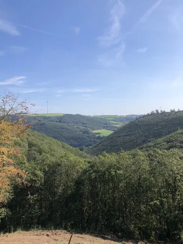 De beste wandelroutes om te wandelen in Bourscheid | AllTrails