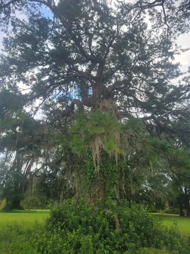 Best Hikes and Trails in Pedrick Pond Park | AllTrails