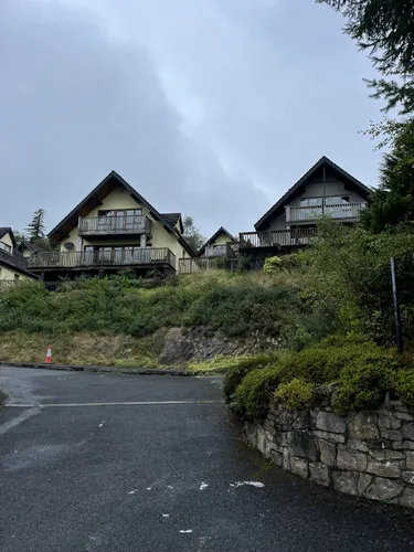 Best Kid Friendly Trails in Bansha Forest | AllTrails