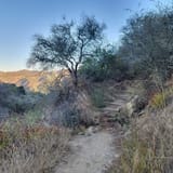 Trippet Ranch to Eagle Springs Loop Trail, California - 791 Reviews ...