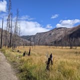 Cascade Falls, Colorado - 1,516 Reviews, Map | AllTrails