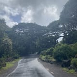 Waimea Valley Trail, Oahu, Hawaii - 1,426 Reviews, Map | AllTrails