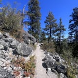 Blodgett Canyon Overlook Trail, Montana - 856 Reviews, Map | AllTrails