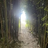 Furnas Lagoon Trail, Azores, Portugal - 300 Reviews, Map | AllTrails