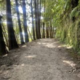 Furnas Lagoon Trail, Azores, Portugal - 300 Reviews, Map | AllTrails