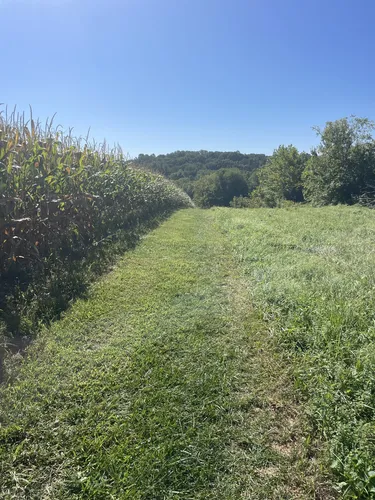 Best Hikes and Trails in Natural Lands' ChesLen Preserve | AllTrails