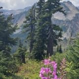 Huntoon Point via Artist Ridge Trail, Washington - 613 Reviews, Map ...