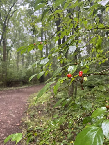 Best Hikes and Trails in Edwin Warner Park | AllTrails