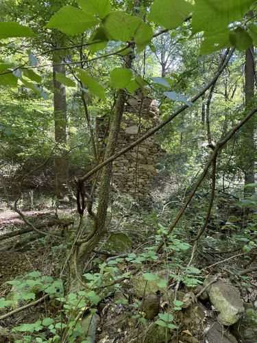 Best Hikes and Trails in Exton Park | AllTrails