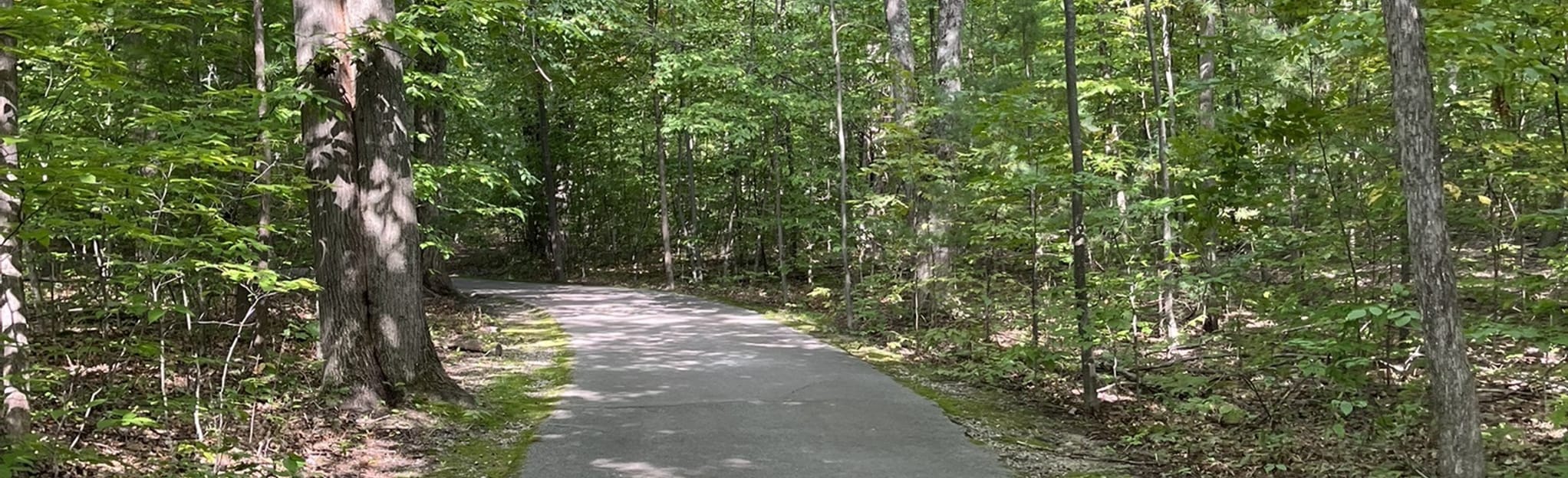Barnes County Park Loop, Michigan - 40 Reviews, Map | AllTrails