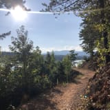 Fonta Flora Trail Loop, North Carolina - 1,483 Reviews, Map | AllTrails