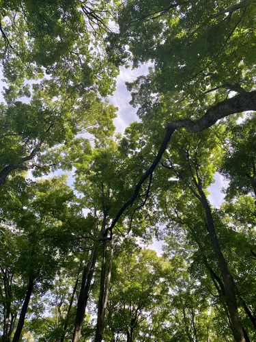 Best Hikes and Trails in Coy Mountain Preserve | AllTrails