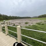 The Boardwalk at Lake Weatherford, Texas - 124 Reviews, Map | AllTrails
