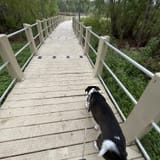 The Boardwalk at Lake Weatherford, Texas - 124 Reviews, Map | AllTrails