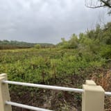 The Boardwalk at Lake Weatherford, Texas - 124 Reviews, Map | AllTrails