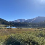Hassell Lake Trail, Colorado - 552 Reviews, Map | AllTrails
