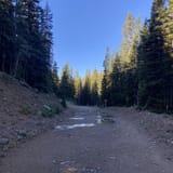 Hassell Lake Trail, Colorado - 552 Reviews, Map | AllTrails
