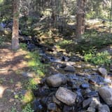 Hassell Lake Trail, Colorado - 552 Reviews, Map | AllTrails