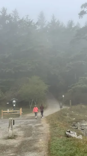 Best Hikes and Trails in Spencer Spit State Park | AllTrails