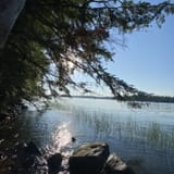 Murphys Point Loop, Ontario, Canada - 352 Reviews, Map | AllTrails