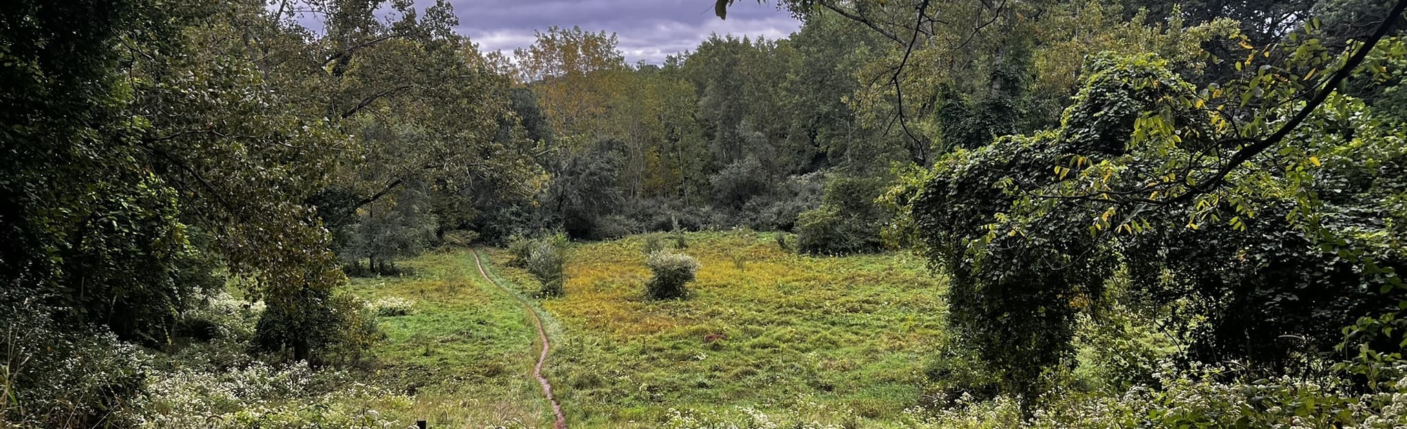 Mendon Ponds Perimeter Loop, New York - 44 Reviews, Map | AllTrails