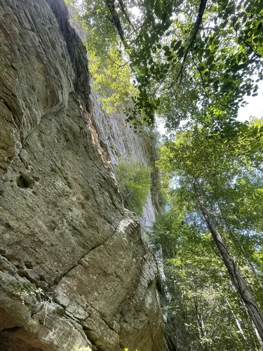 Best Hikes and Trails in Muir Valley Nature Preserve | AllTrails