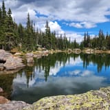 Brady Lake Trail, Colorado - 184 Reviews, Map | AllTrails