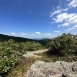 Spy Rock Trail via Cash Hollow, Virginia - 577 Reviews, Map | AllTrails